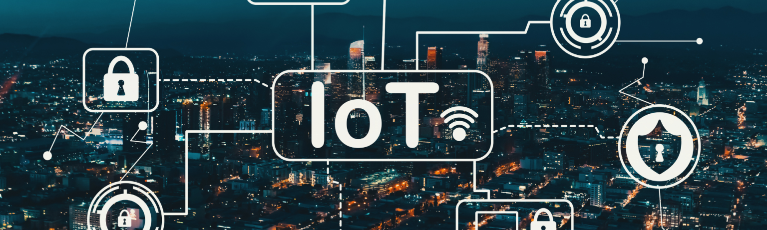 Identifying IoT Security Risks